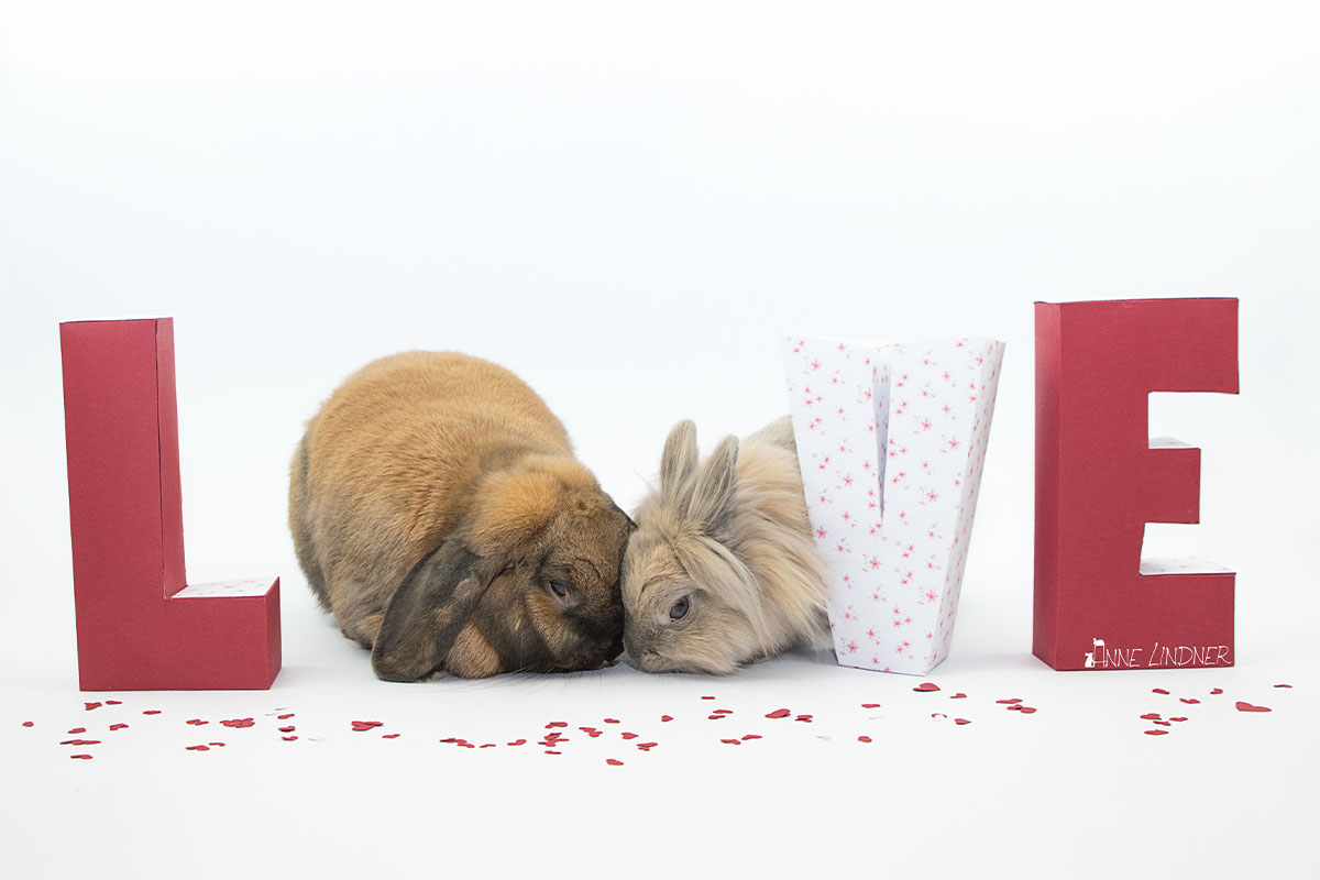 Über mich - Anne Lindner Naturfotografie